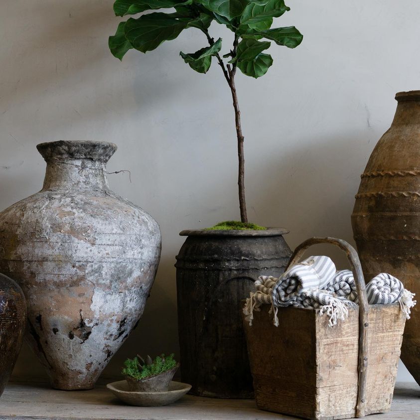 Collections - The Alley Exchange, Inc